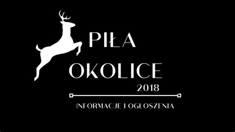 Piła Okolice Piła