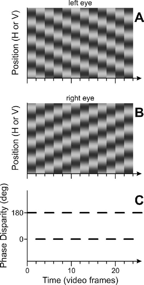 visual stimulus the sine wave seen by each eye left a and right