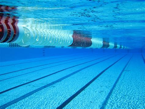 Day One Results From District 9 Swimming 2024 D9 And 10 Sports