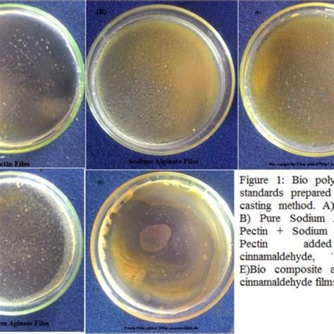 Bio Polymeric Films Standards Prepared By Solution Casting Method A