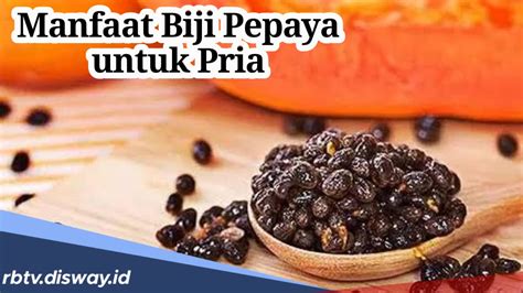 Banyak Yang Penasaran Ternyata Ini Manfaat Biji Pepaya Untuk Pria
