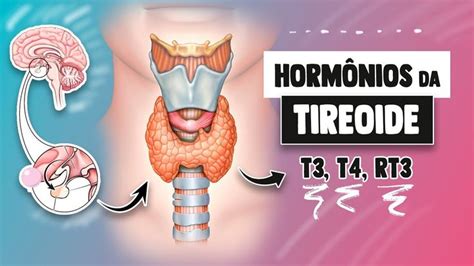 Hormônios Metabólicos Da Tireoide T3 T4 Rt3 │ Fisiologia Resumida
