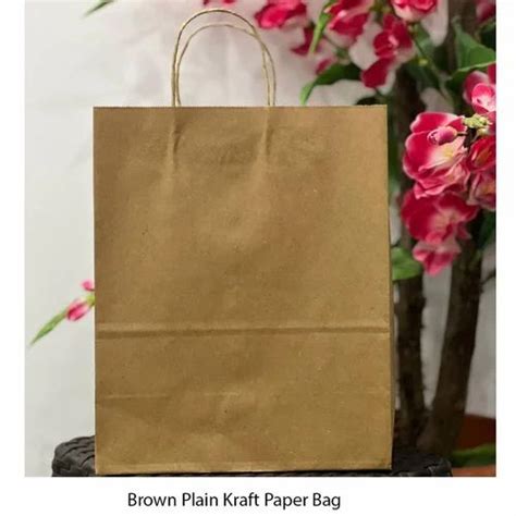 Brown Plain Kraft Paper Bag Loop Handle Capacity 3 Kg At Rs 515