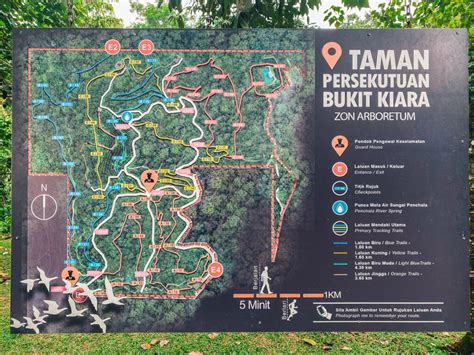 Bukit Kiara Hike A Travel Guide To Kls Best Trails