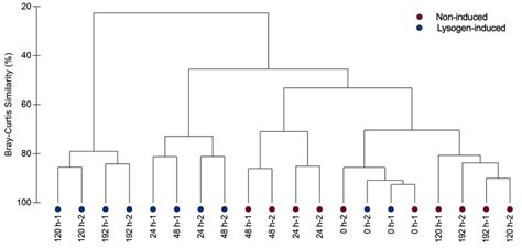 Clustering Of Bacterial Communities From Replicate Samples Over The