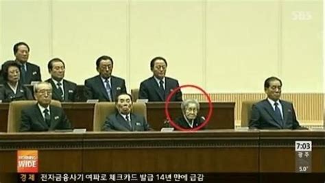 김정일 2주기 추모대회 나타난 여자 빨치산 혈통 황순희는 누구 아주경제