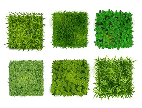 Realistic Detailed 3d Green Ground Cover Plants Set Vector 21678127