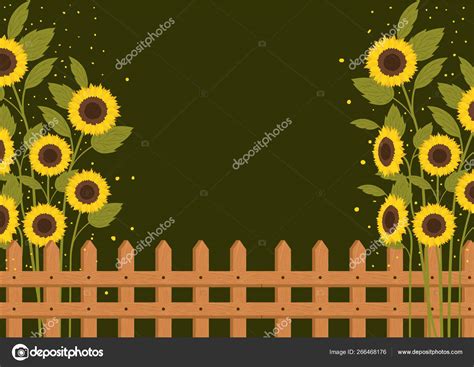 Beautiful Sunflowers Garden With Fence Scene Stock Vector Image By