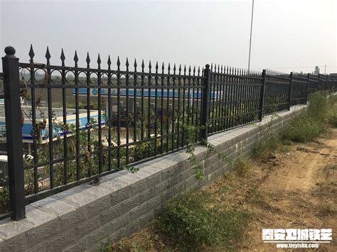 铁艺围栏 铁艺围墙 围墙护栏TW1617 实景拍摄 铁艺护栏围墙样式大全产品图集 由卫城铁艺的铁艺张收集整理