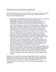 Understanding Brain Plasticity And Its Implications For Learning
