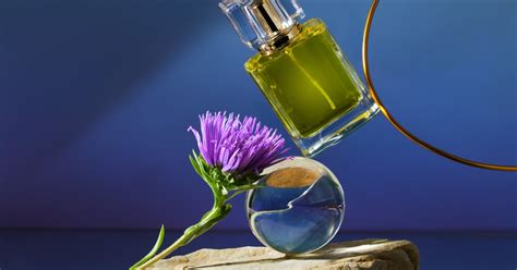 Fragrance Notes Decoded The Art Behind Mens Colognes