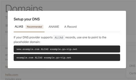 DNS WordPress VIP Documentation