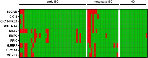 heat map showing the prevalence of transcripts red squares indicate