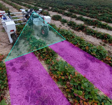 Deep Learning For Visual Guidance Of Autonomous Agri Robots Sintef