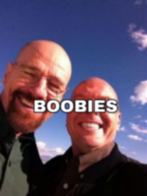 Breaking Bad Funny Better Call Saul Breaking Bad Beaking Bad Funny