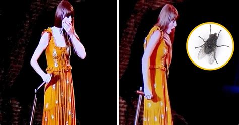 Taylor Swift ¿qué Pasa Si Me Como Un Insecto