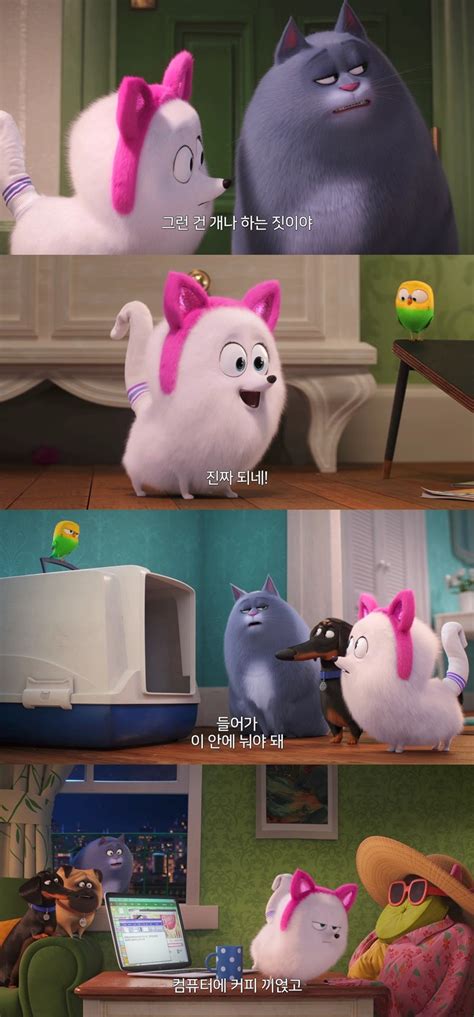 마이펫의 이중생활2 다시 한 번 관객 사로잡을 마성의 매력