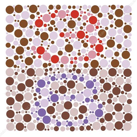 Colour Blindness Test Chart Illustration Stock Image C0497672