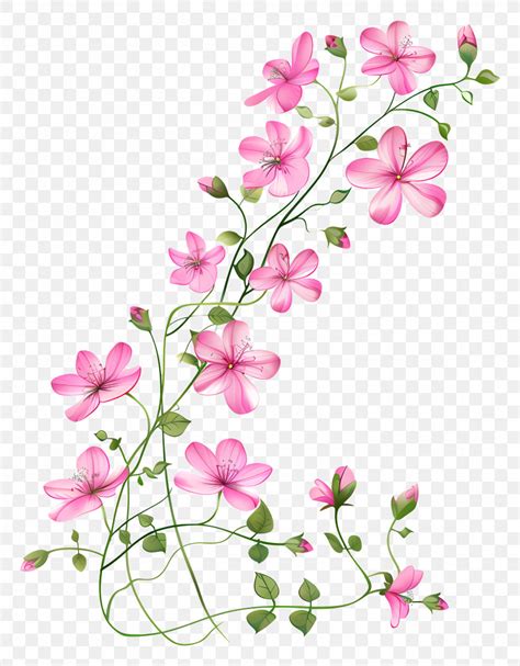 Pink Flowers Pink Flower Vine Illustration Png 3148x4036px Pink