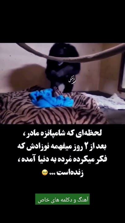 حس مادر بودن در تمام موجودات خدا به یه شکل هستش 🥹😍 خدایا شکرت 🤲