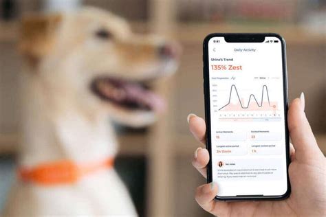 How To Use Arduino Uno To Build An Automatic Plant Watering System