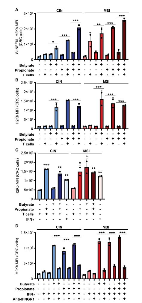 Cd8 T Cell Activation By Scfa Treated Crcs Depends On An Ifngdriven