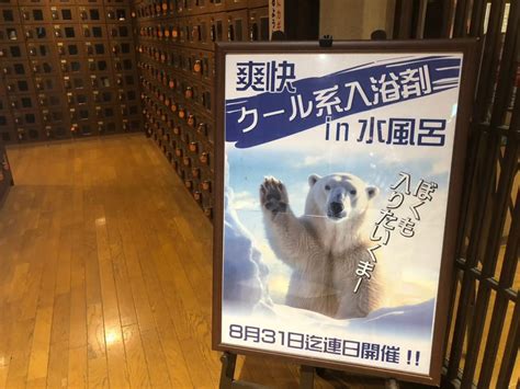 【流山市】なんだこのボリューム！銚子直送鮮魚 魚食堂「さかなめし」 流山おおたかの森で味わえる新鮮な魚料理がすごい！ 号外net 流山市・野田市