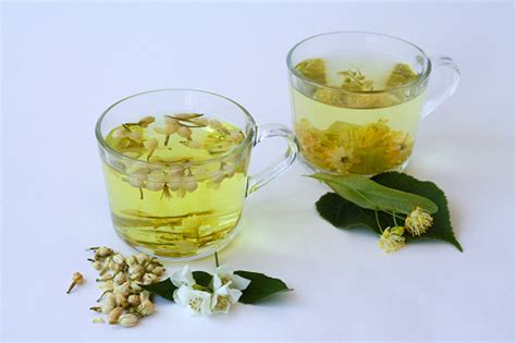 흰 배경에 고립 된 자스민의 꽃이 있는 린덴 꽃의 허브 핫 재스민 차와 차를 곁들인 두 잔 테이블에 녹색 잎이있는 머그잔에 건강한 음료 복사 공간 0명에 대한 스톡 사진 및
