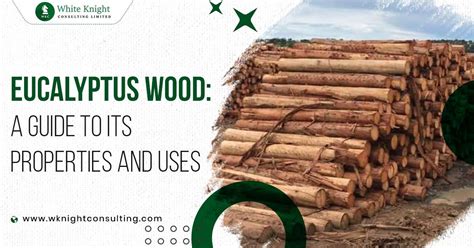 Eucalyptus Wood A Guide To Its Properties And Uses
