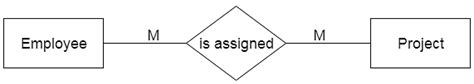 Entity Relationship Model Database Management System Dbms