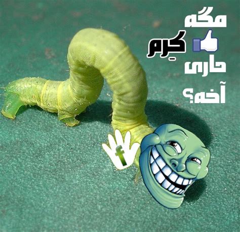 مگه کرم داری اخه