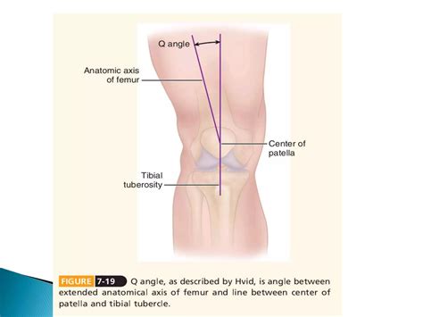 Unilateral Knee Replacement Vs High Tibial Osteotomy Pptx