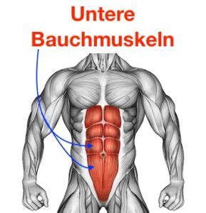 Untere Bauchmuskeln trainieren 10 Übungen inkl Bilder Videos
