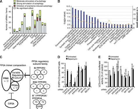 Bioinformatics Analysis Of Candidate Autophagy Regulating Genes And