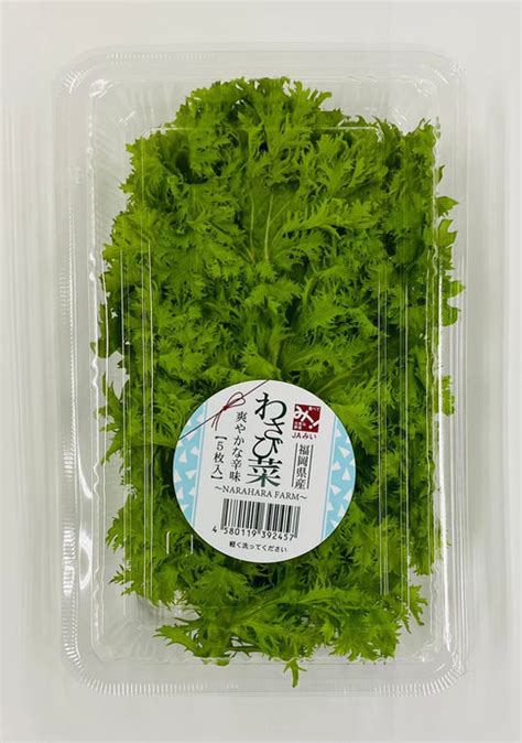 Jaみい 野菜直販サイト「やさいと」
