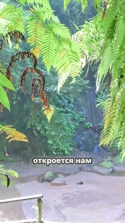 Узнайте какие тайны скрывает пещера на Бали 🌿🦇 Youtube