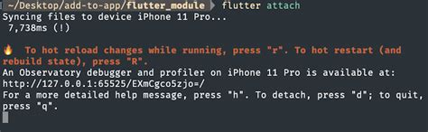 Debug Your Add To App Module Flutter