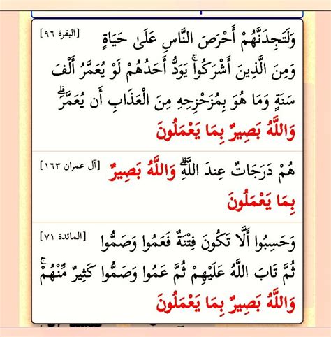 Allah Is Watching