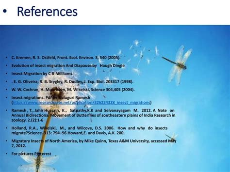 Insect Migration And Displacement Pptx Birdwatching Hobbies And Interests