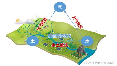 Arcgisswatcentury：流域生态系统水 碳 氮耦合过程模拟adobeillustrator 耕地碳氮循环 Csdn博客