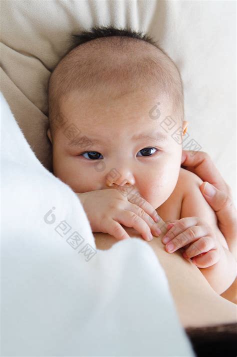 宝宝喝母乳图片 包图网企业站