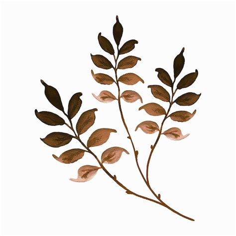 Acuarela Decorativa De Hojas Y Ramas Vector Premium