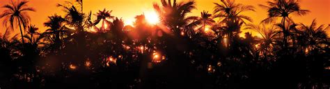 System Requirements For Jurassic Park Pc Check Minimum And Recommended Game Requirements