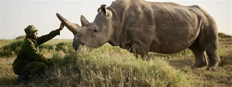 National Parks Hatab