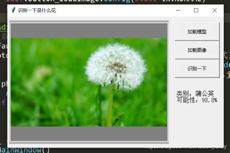 使用alexnet模型对于5种花进行分类 alexnet 5种 csdn博客