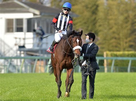【次走】カレンブーケドールは天皇賞・春へ、日経賞で6度目の重賞2着 競馬ニュース Netkeiba