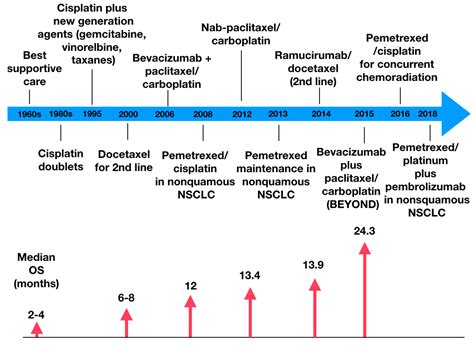 Lung Cancer Encyclopedia Mdpi