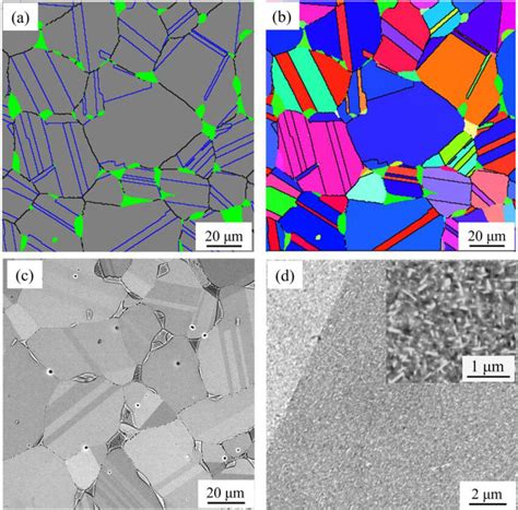 A EBSD Phase Map B Inverse Pole Figure Map And C D SEM Image Download Scientific