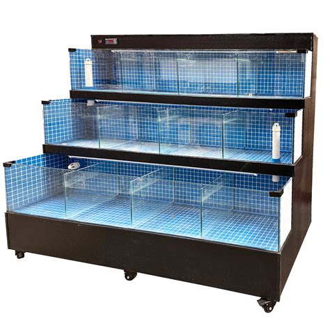 80 In Supermarket Live Sea Food Display Water Tank Commercial Fish