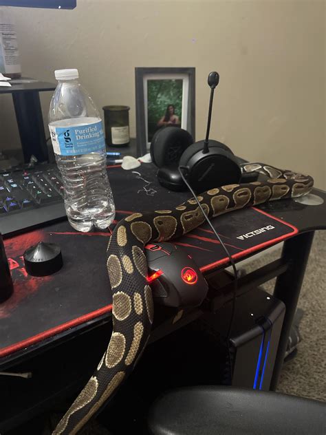 Super Soft Snek Plush Rcrochet